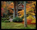 Zen Gardens from Kyoto to Denver: The Photography of William Corey and ...