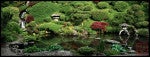 Zen Gardens from Kyoto to Denver: The Photography of William Corey and ...